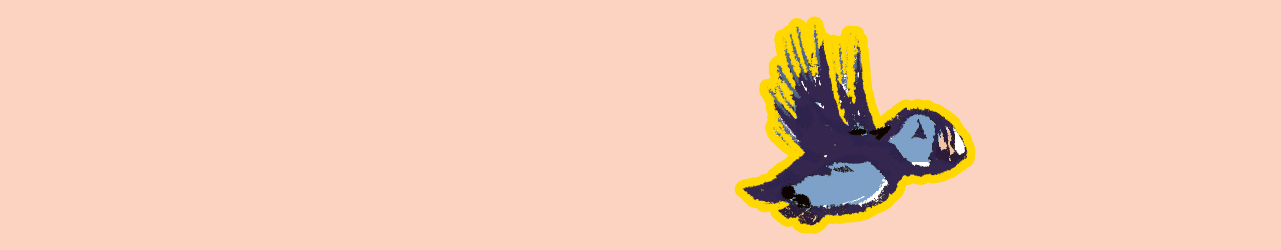 KS2 RESOURCE PACK: The Puffin Keeper - Puffin Schools